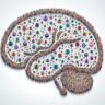 What Is Brain Capital—and Why It Should Matter to You | Genein Letford